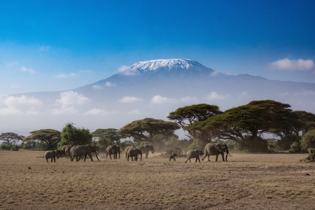 LIVEステーション／3月の見どころ🎎 | TOPICSブログ｜NOVA LIVE STATION │駅前留学NOVA【公式】
