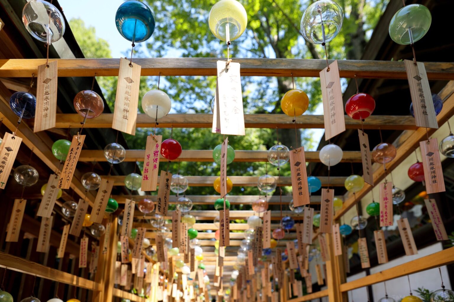 LIVEステーション／7月の見どころ🌊🎋 | TOPICSブログ｜NOVA LIVE STATION │駅前留学NOVA【公式】